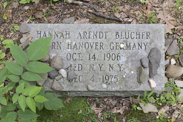 Hannah Arendt: Political Life (and its Demise) in the Modern Era ...